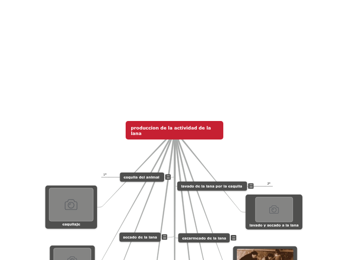 produccion de la actividad de la lana - Mind Map